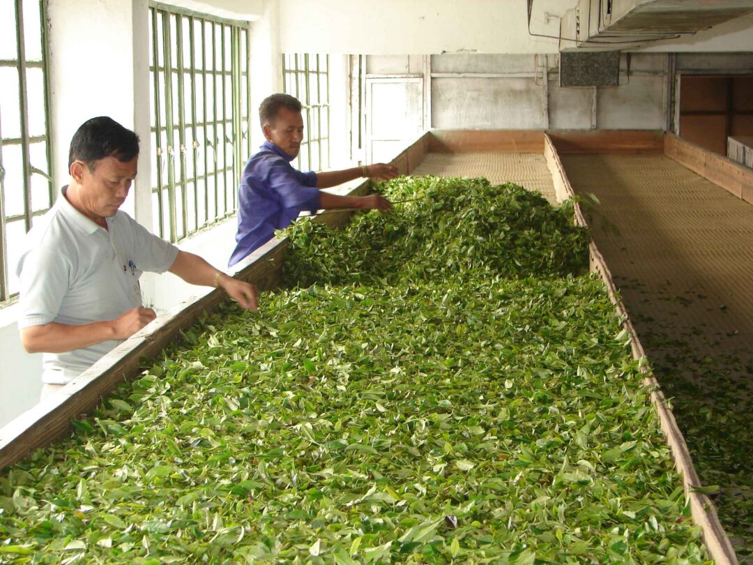 Quel est l'impact environnemental du thé ? - Septimealamaison ...