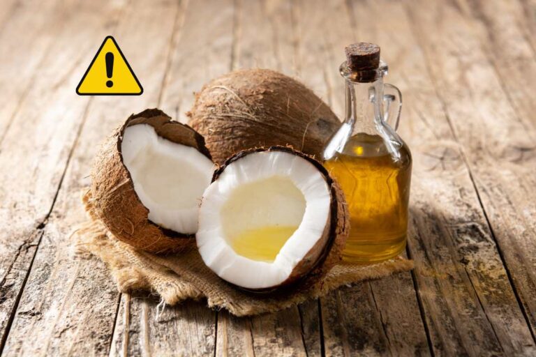 Huile De Coco Chat Danger – Quelle est la liste des produits ...