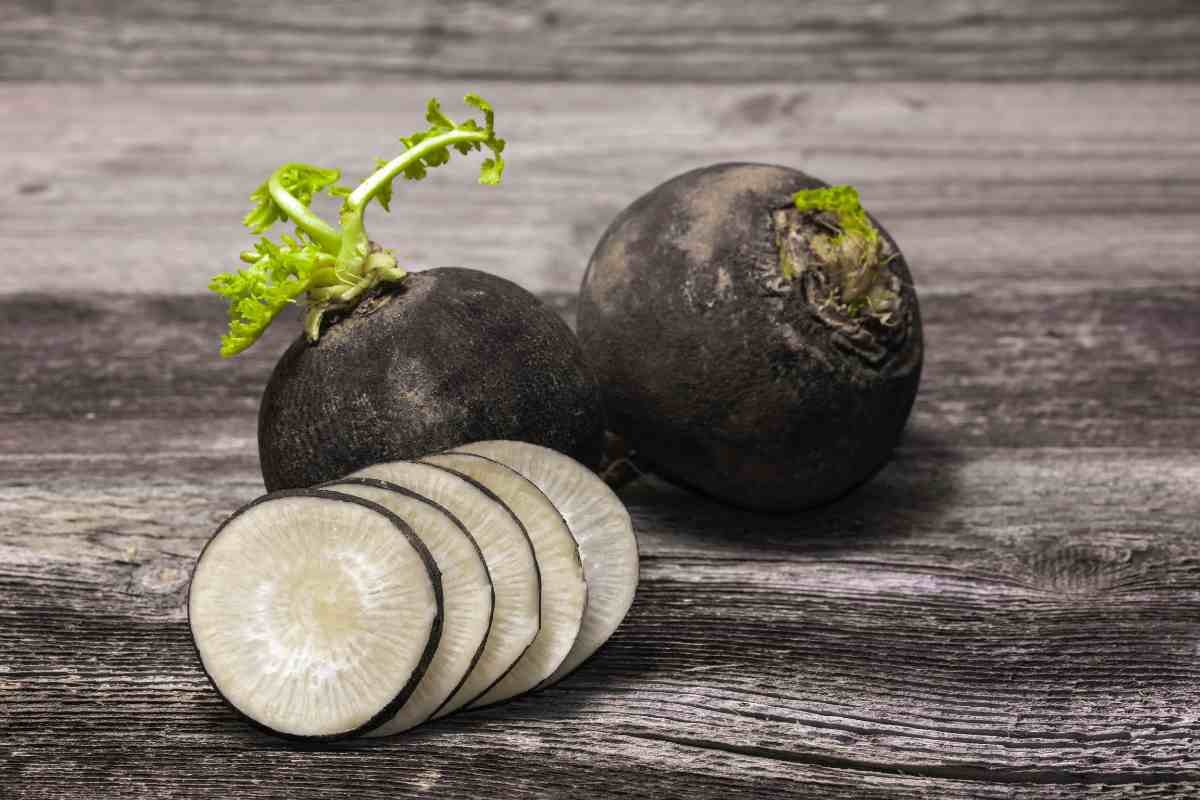 Comment cuisiner le radis noir ? Recette + cuisson