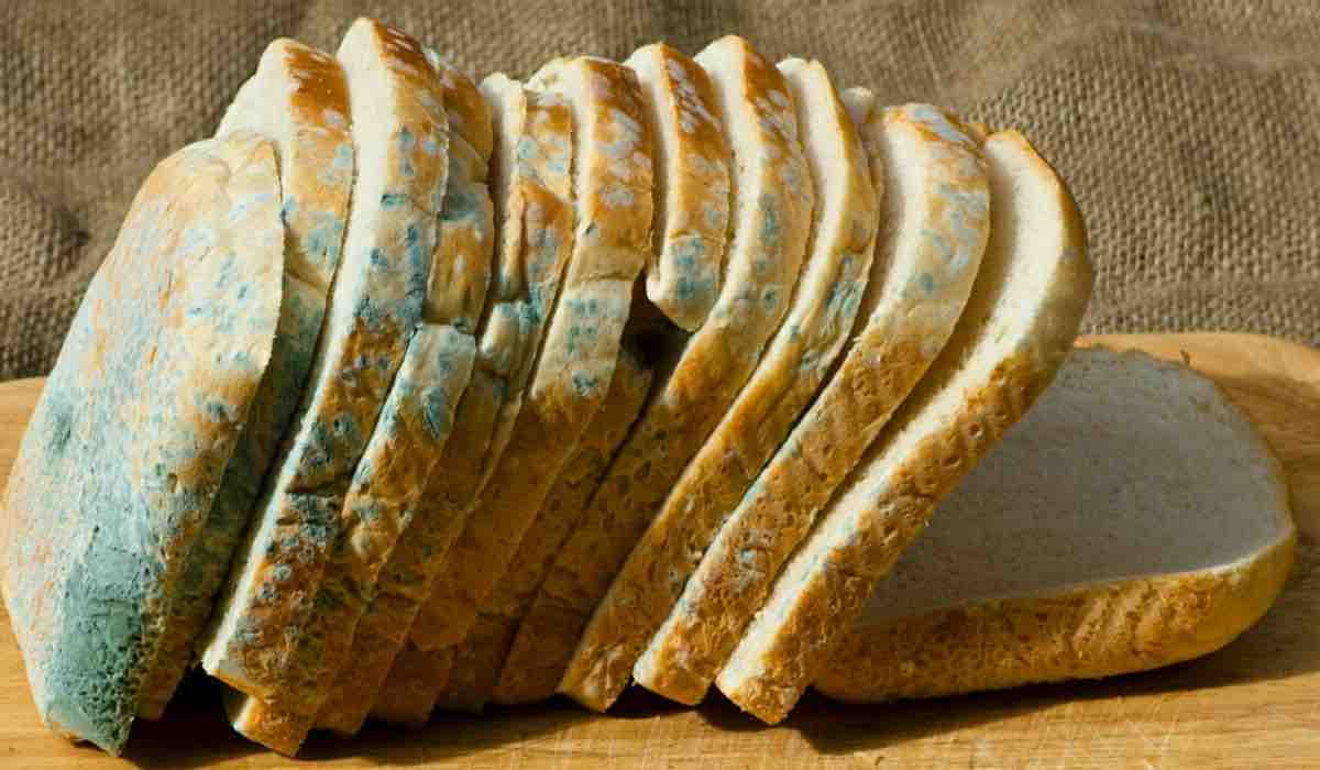 Peut-on manger du pain de mie périmé ? Quels sont les risques